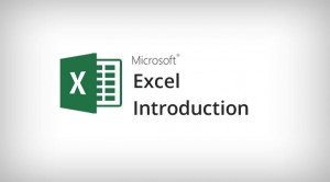 Microsoft Excel Introduction Training Course.